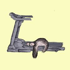 Sloth Motion – The Musings Of A "Would Be Hermit"